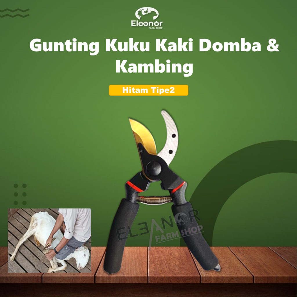 Jual Tang Kuku Domba Gunting Kuku Domba Kambing Hitam Baru Tipe2 ...