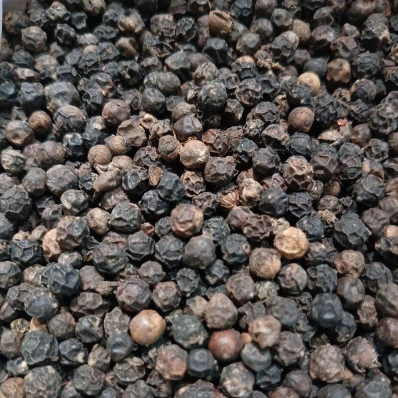 Jual lada hitam bulat | Shopee Indonesia