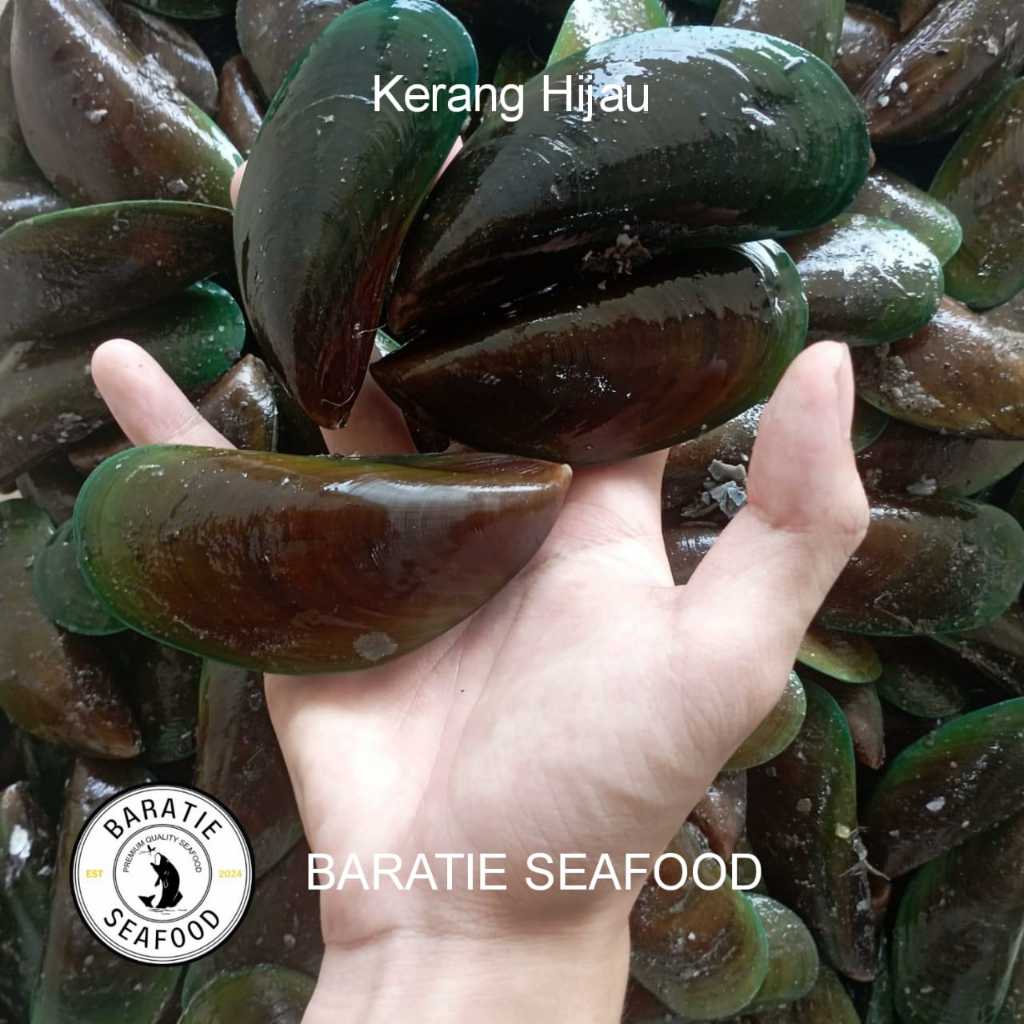 Jual Kerang HIjau Fresh Hidup Segar (min 5 Kg) | Shopee Indonesia
