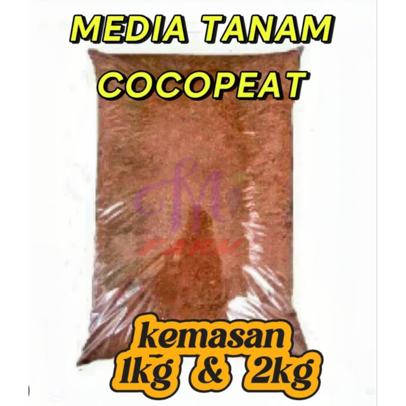 Jual MEDIA TANAM COCOPEAT MURNI | Shopee Indonesia