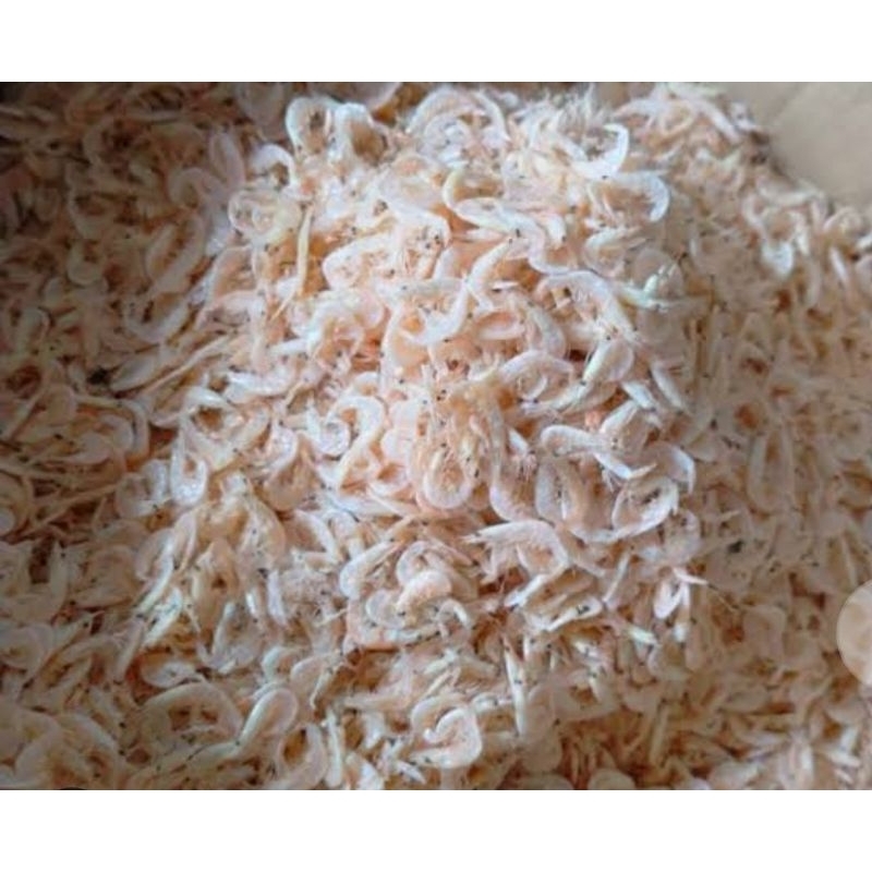 Jual ikan Udang Rebon Asin 1 KG (1000 gram) | Shopee Indonesia