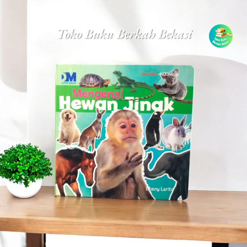 Jual board book anak balita mengenal hewan jinak (15×15cm) | Shopee ...