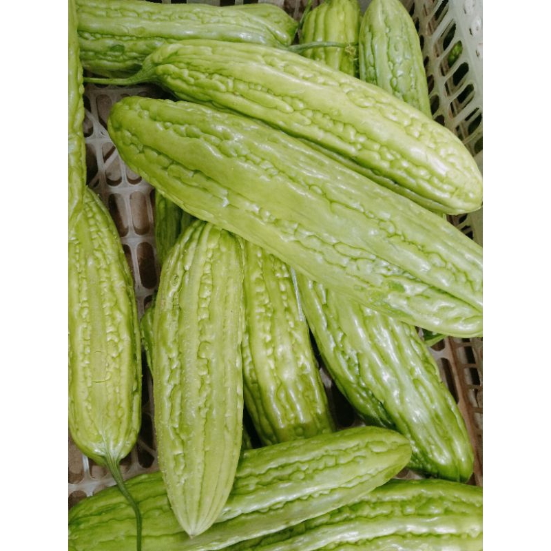 Jual Sayur pare segar(500g) | Shopee Indonesia