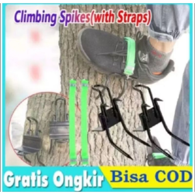 Jual Tree climbing alat panjat pohon kelapa Pinus Hiking | Shopee Indonesia