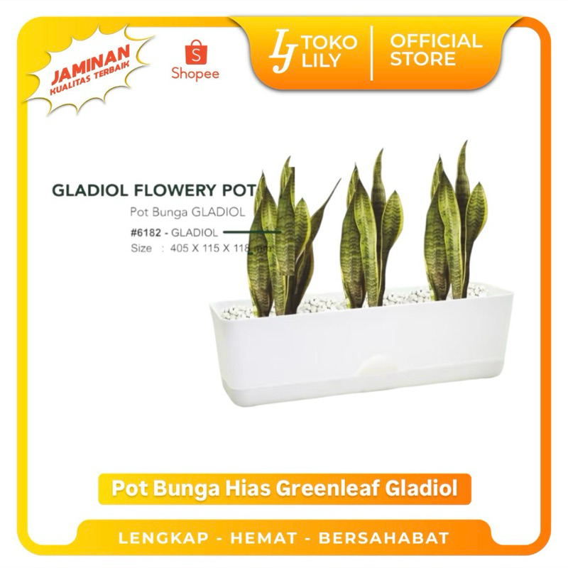 Jual Pot Bunga Hias Persegi Panjang Indoor Gladiol Greenleaf 6182 ...