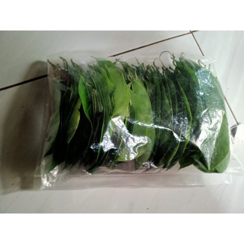 Jual daun sirsak 50 lembar basah pencigah kangker | Shopee Indonesia