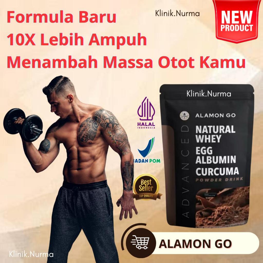 Jual Alamon Go Gain Susu Penambah Berat Badan Gemuk Natural Whey ...