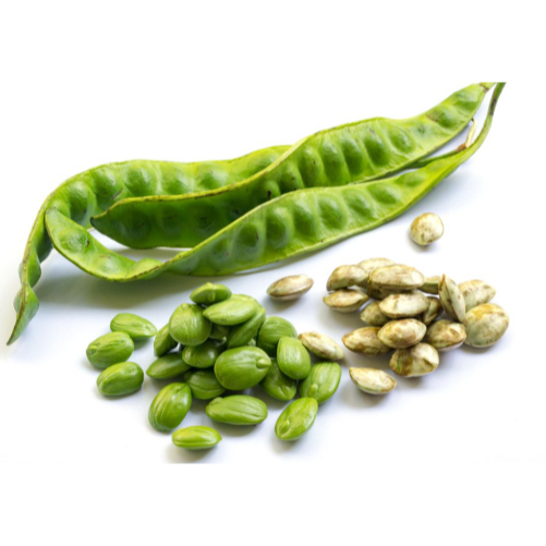 Jual Sayur Pete Petai 1 Papan Fresh Segar | Shopee Indonesia