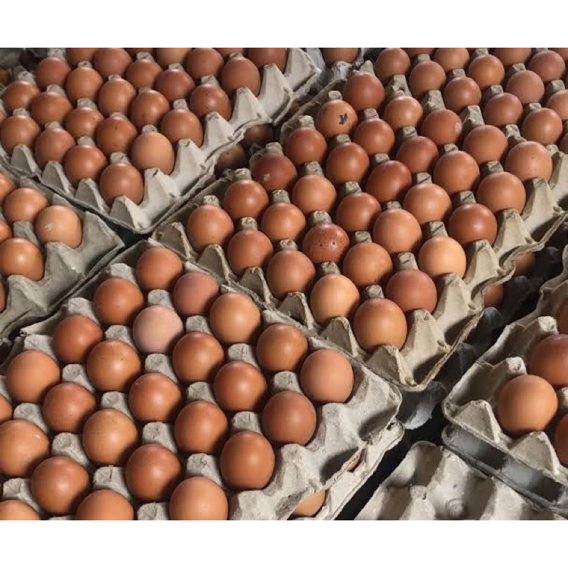 Jual Telur Ayam 1kg | Shopee Indonesia