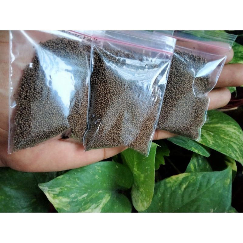 Jual MICRO PELLET PF500 makanan ikan cupang guppy molly platy kura kura ...