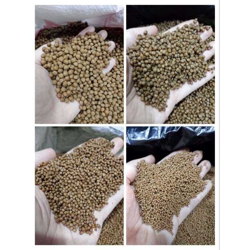 Jual PAKAN 781 // PAKAN IKAN GURAME, NILA, PATIN, LELE // PREMIUM // 1 ...