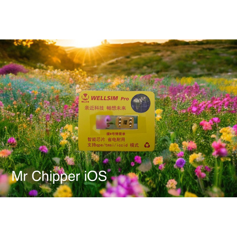 Jual Sim Sticker Rsim WELLSIM PRO 1 LAYER For iPhone Simlocked/SU ...