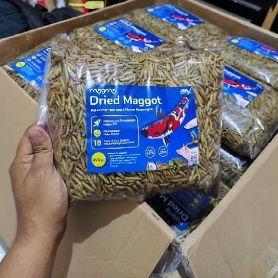 Jual Dried Maggot Kering 500gr & 1kg Grade A+ Magot Preium Pakan Ikan ...