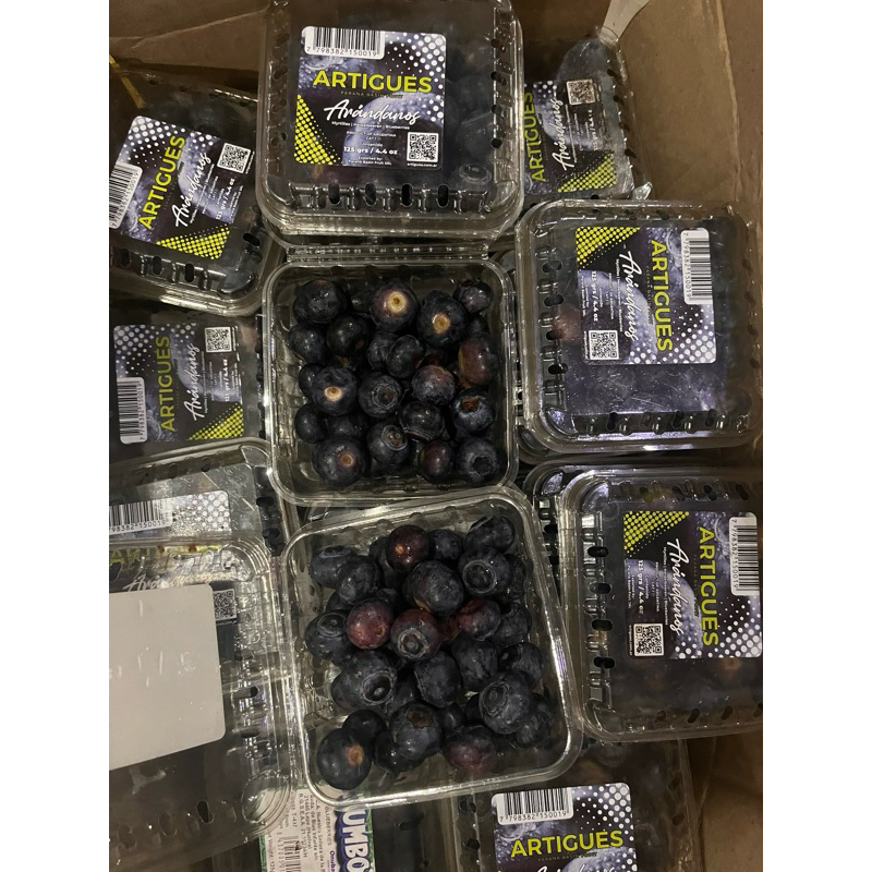 Jual Blueberry 125 gram per pack bukan frozen manis segar enak | Shopee ...