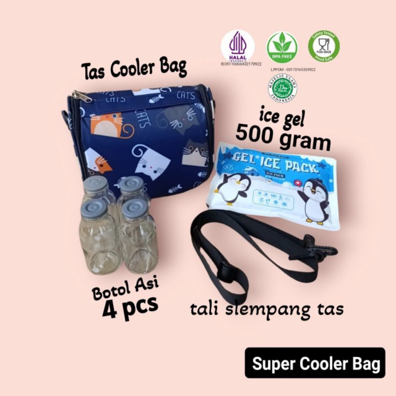 Jual Cooler Bag Asi SEPAKET Ice Gel Pack + 4 Botol Asi Kaca | Shopee ...