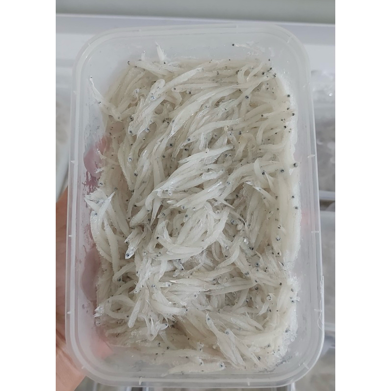 Jual ikan teri basah mpasi | Shopee Indonesia