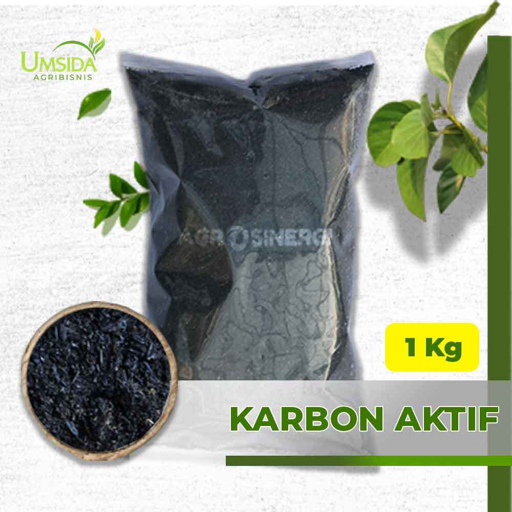 Jual Karbon Aktif Tebu (1 Kg) | Shopee Indonesia