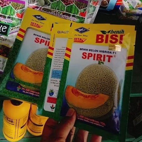 Jual Benih Bibit Melon Spirit F1, Perawatan Mudah, Melon Daging Merah ...