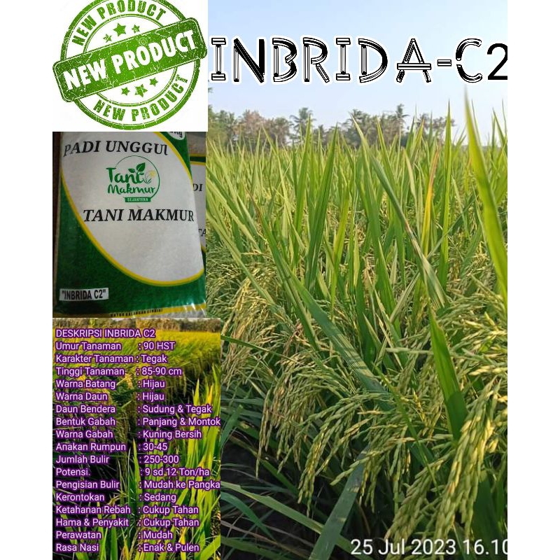 Jual BENIH PADI BARU INBRIDA C2 5KG ORIGINAL | Shopee Indonesia