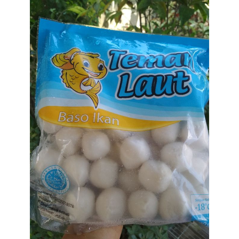 Jual Bakso Teman Laut 500g | Shopee Indonesia