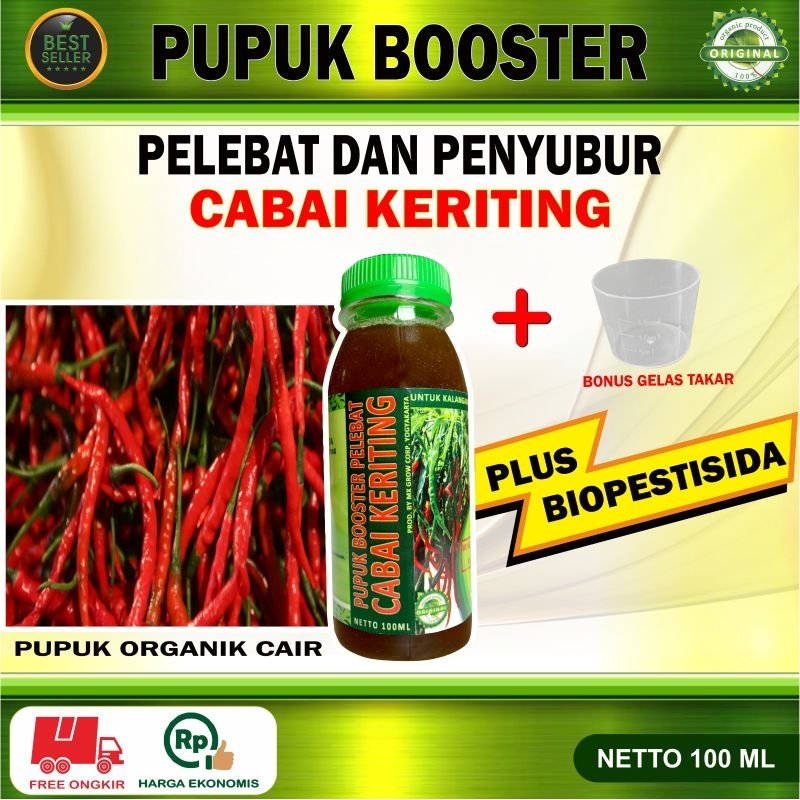 Jual Pupuk organik cair/Pupuk Booster Buah Cabai Keriting/Penyubur dan Pelebat Cabai Keriting ...