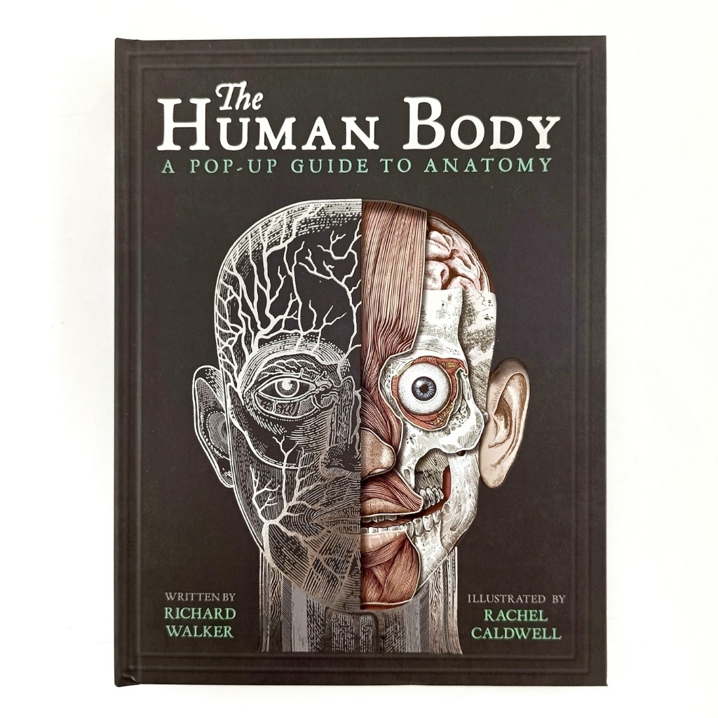 Jual ORIGINAL The Human Body Pop Up | Shopee Indonesia