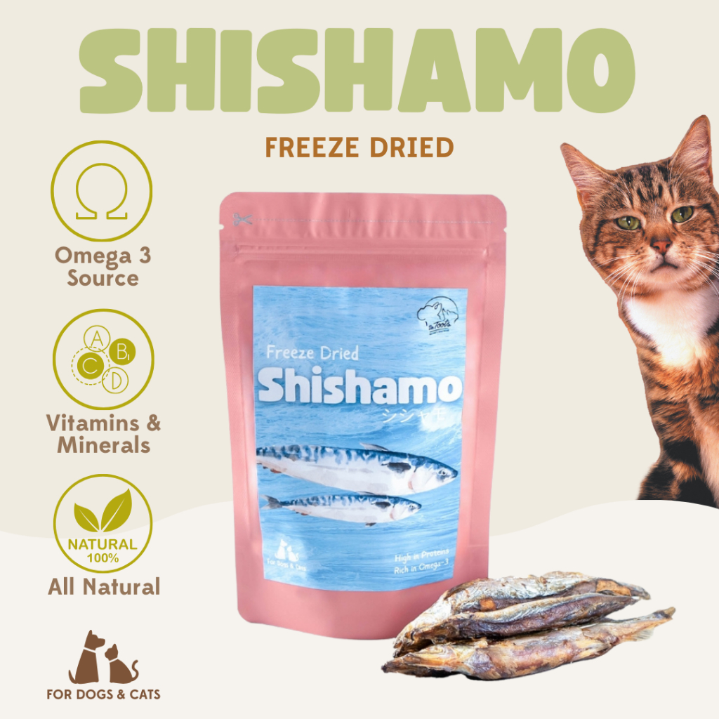 Jual DrToots SHISHAMO Fish Snack Cat Dog/RAW Pet Healthy Treats Natural ...