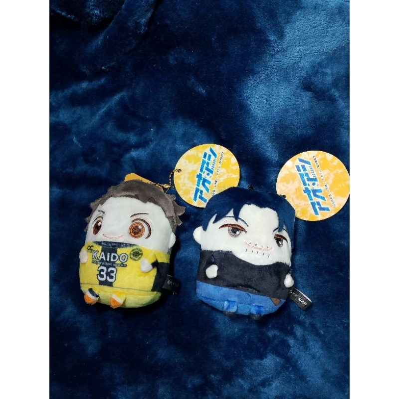 Jual Anime Ashito Aoi Ashi Mascot BC plush Charakoro Tamaki | Shopee ...