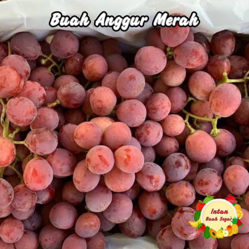 Jual Buah anggur Australia pack 500 Gram fresh Manis / anggur kemasan ...
