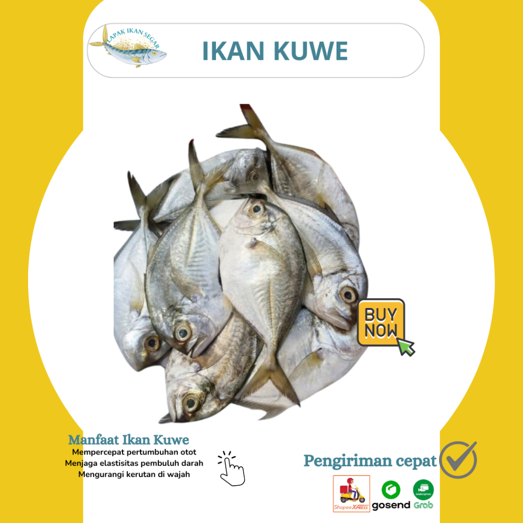 Jual Jual Ikan Kuwe Segar Pengiriman Cepat 1Kg | Shopee Indonesia