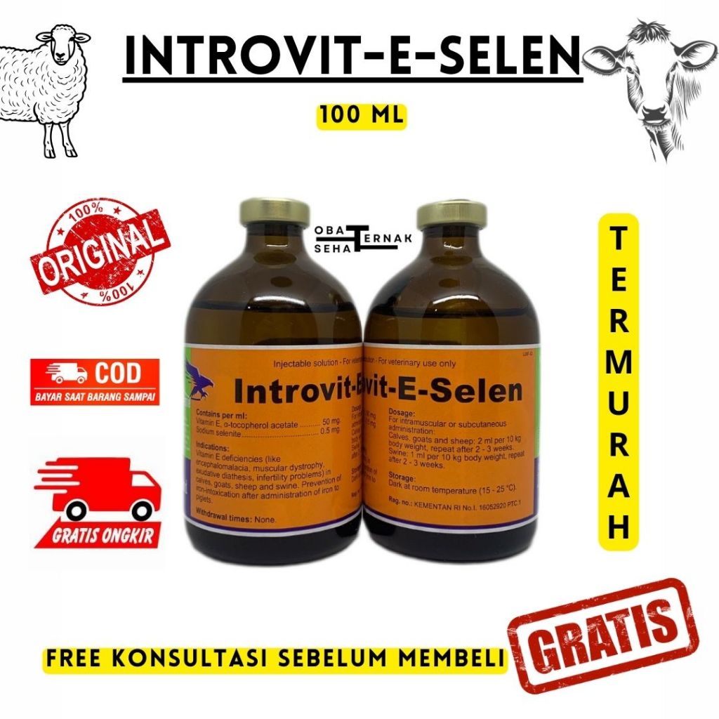 Jual INTROVIT E SELEN 100 ml Vitamin E Selenium Injeksi Hewan Holland ...