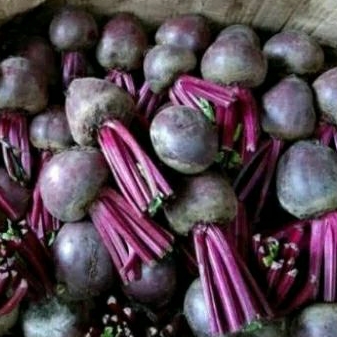 Jual Buah bit fresh super 1kg | Shopee Indonesia