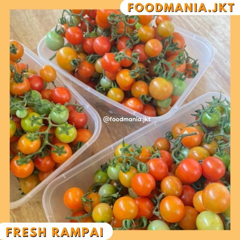 Jual FRESH TOMAT RAMPAI ASLI LAMPUNG 500 gram by FOODMANIA.JKT | Shopee ...