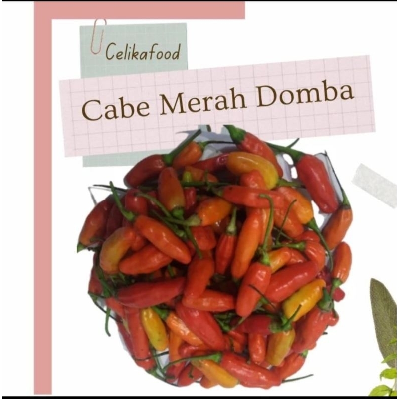 Jual Cabe Domba 100gr Cabai Cengek Rawit Merah Pedas Fresh Food Makanan ...