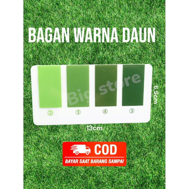 Jual Bagan Warna Daun Padi 4 Chart – Alat Ukur Nitrogen Padi Akurat ...
