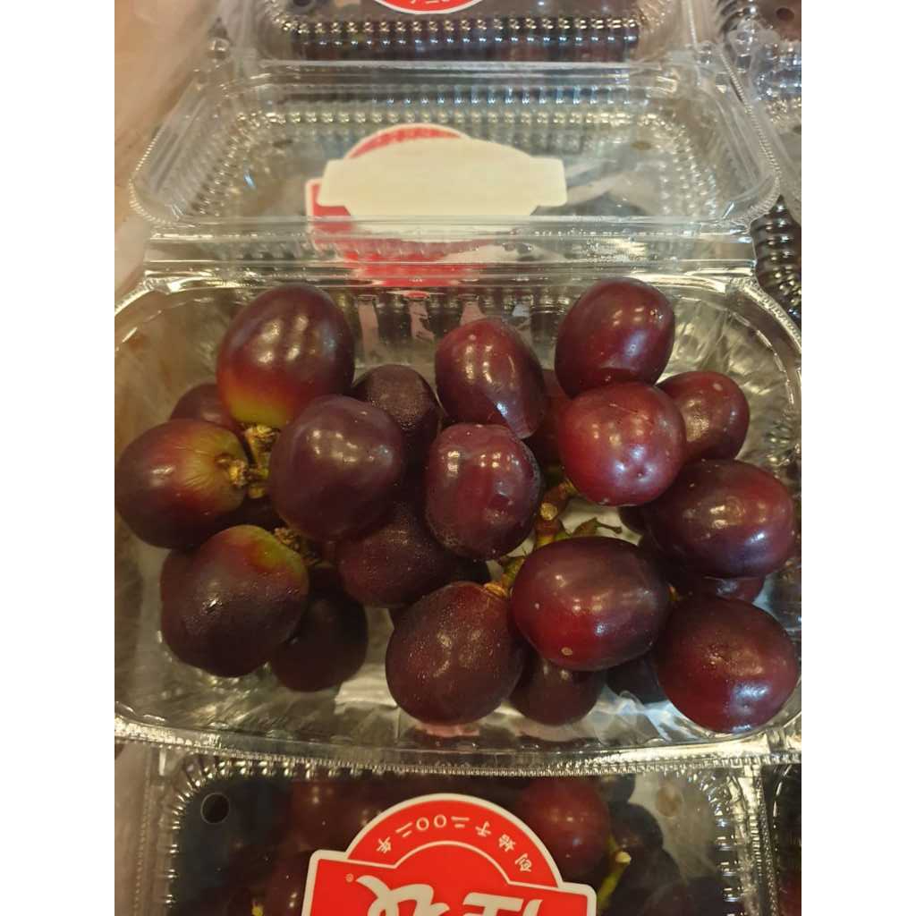 Jual Anggur Tanpa Biji SHINE MUSCAT Bibit Jepang Black Seedless Grapes ...