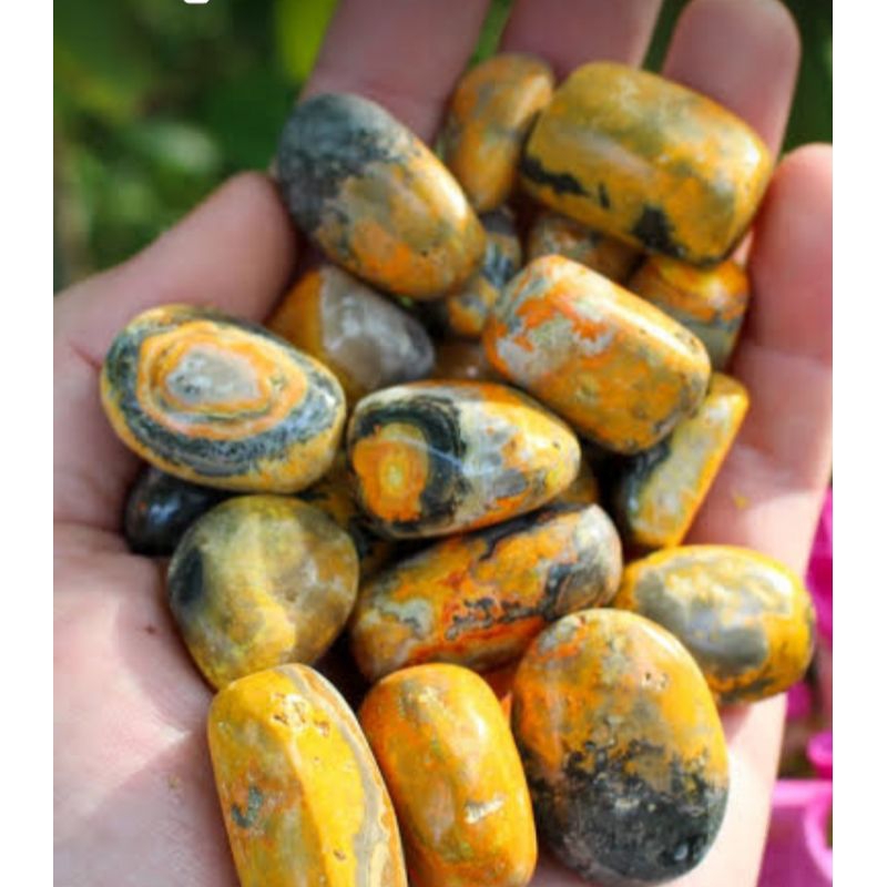Jual tumled Bumblebee jasper | Shopee Indonesia