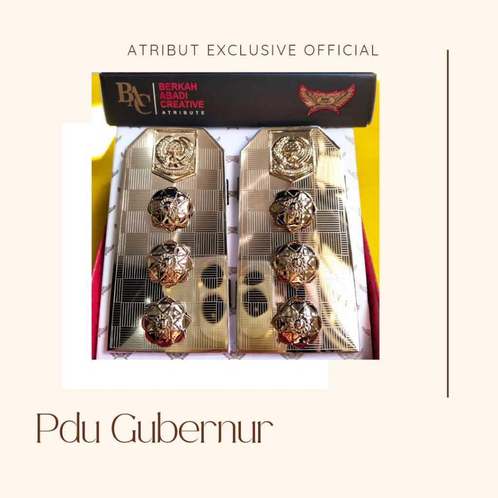 Jual PANGKAT PDU GUBERNUR FULL PLAT GOLD EXCLUSIVE | Shopee Indonesia