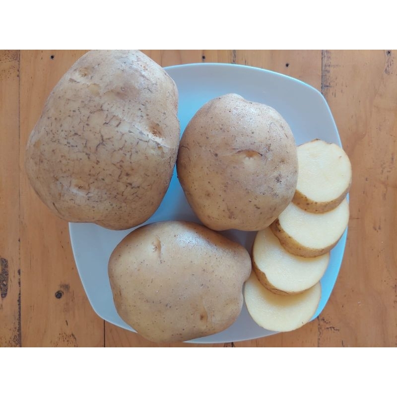 Jual Kentang Dieng Besar AB Super 10kg [MM -sayur segar -kentang segar ...