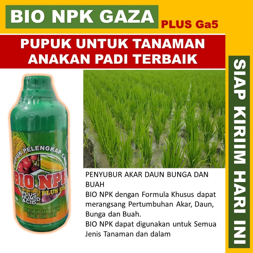Jual NPK GAZA 500 l PUPUK MURAH PERBANYAK ANAKAN PADI BIAR SUBUR Hasil Panen Berlipat dan ...