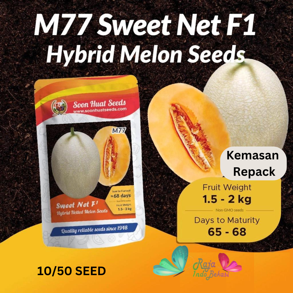Jual Biji Benih Melon Sweet Net F1 M77 - Repack 10 50 Bibit Melon ...