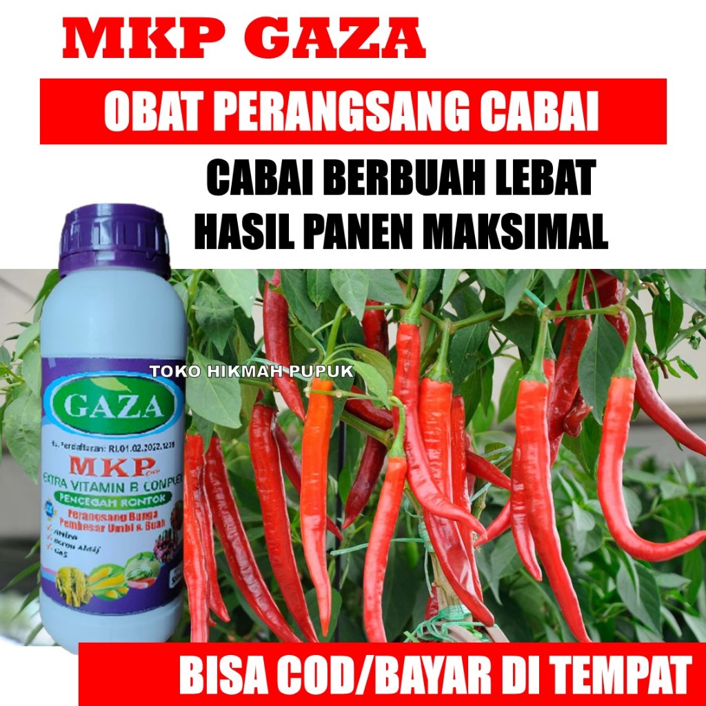 Jual COD AMAN PUPUK AJAIB MKP GAZA - PUPUK PERANGSANG CABAI PALING AMPUH, Obat Pelebat Cabe ...