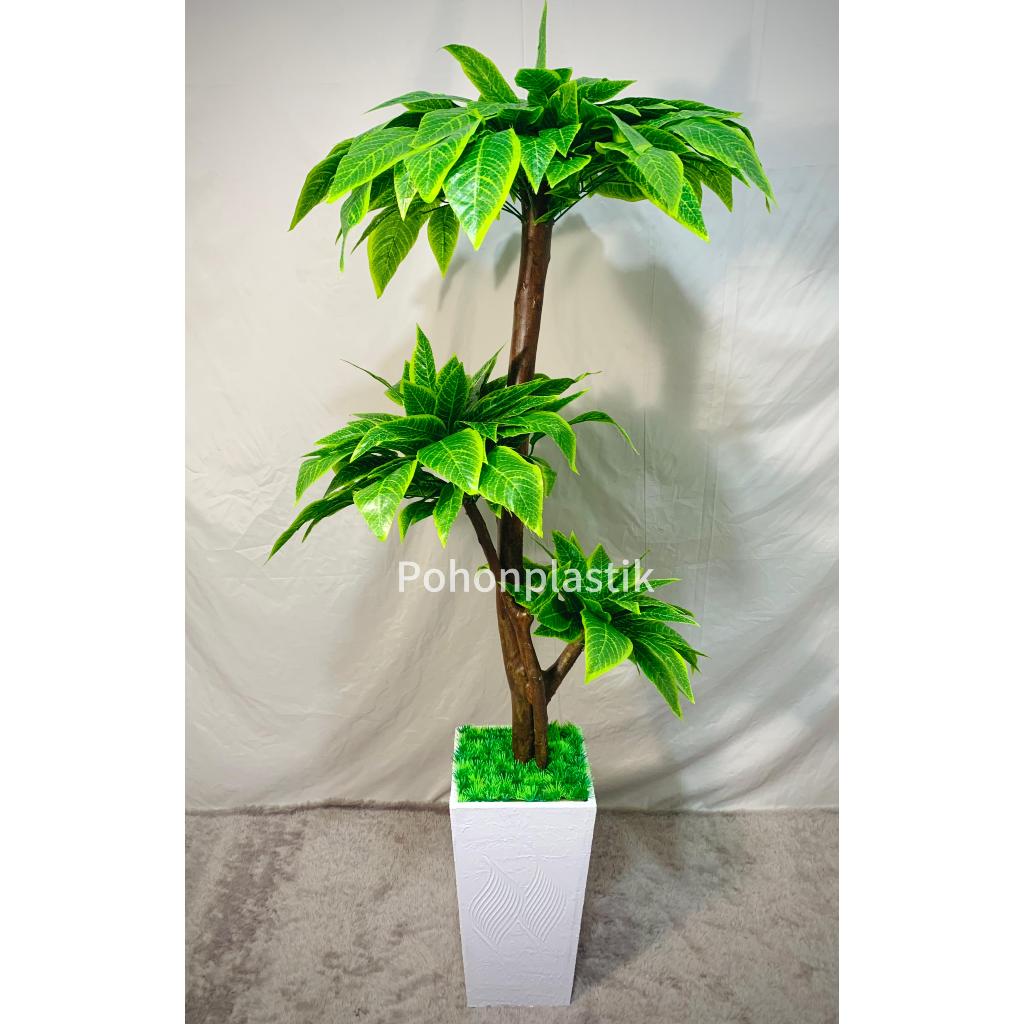 Jual Pohon Golden lucky Tinggi 150cm / pohon mangga / pohon artificial ...