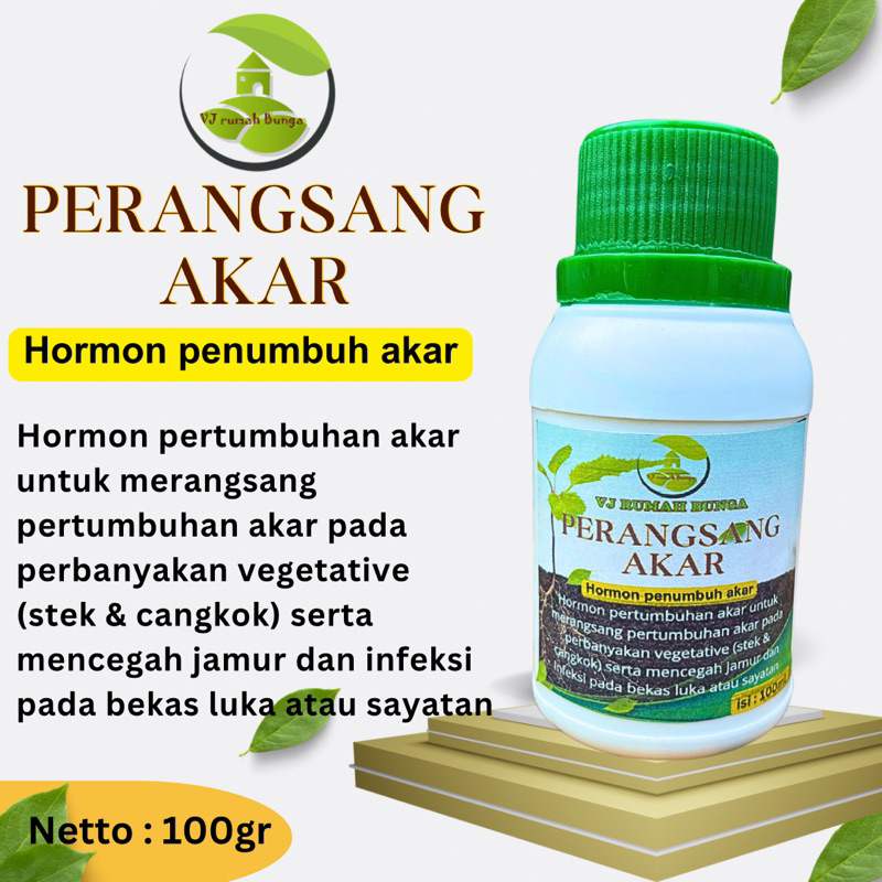 Jual PERANGSANG AKAR PENUMBUH AKAR 100 gram booster akar | Shopee Indonesia