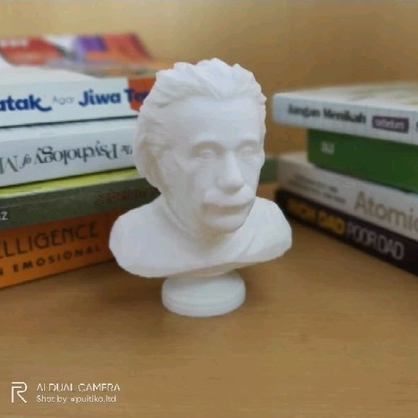 Jual Patung Bust Albert Einstein - Patung tokoh - Bust statue - Bust ...