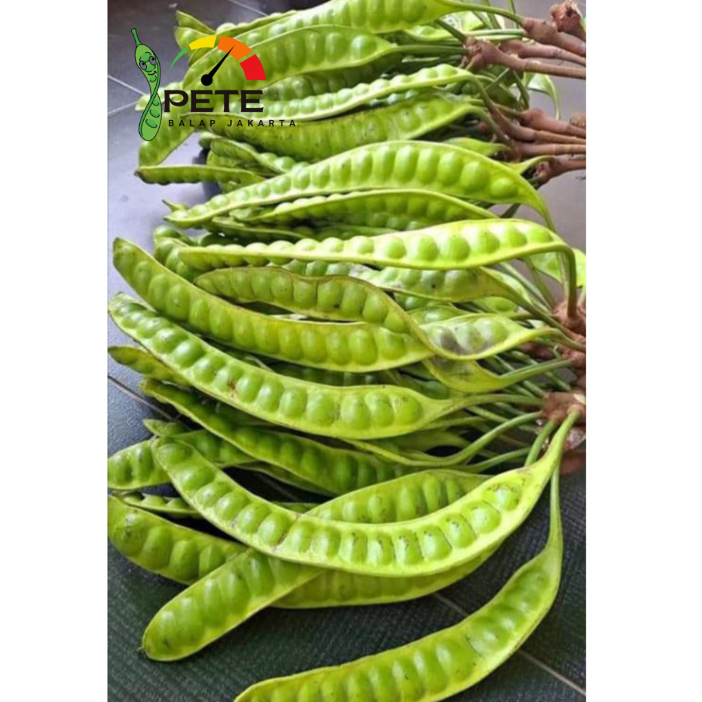Jual PETAI/PETE TUA (per 10 papan/lonjor) | Shopee Indonesia