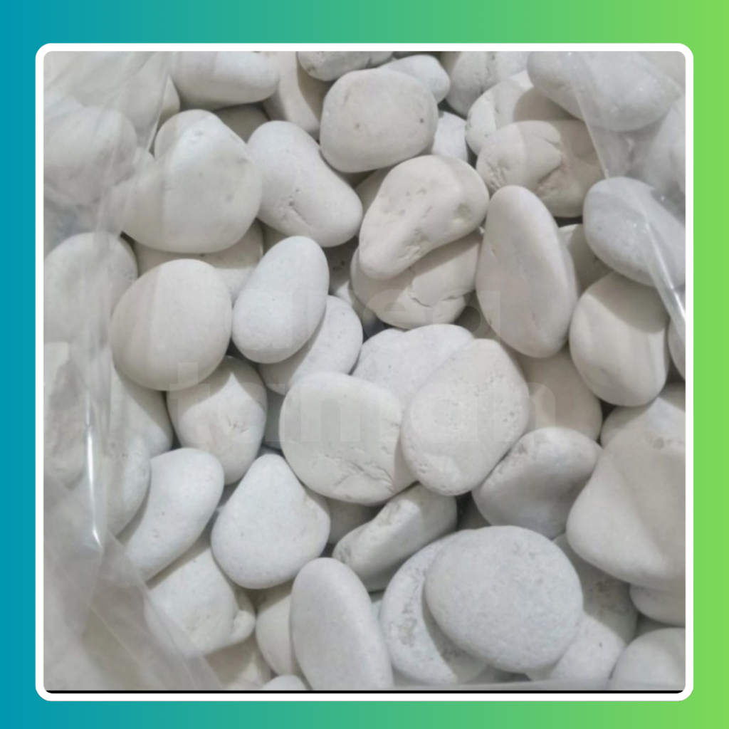 Jual Batu Coral Koral PUTIH untuk Tanaman Hias dan Aquarium Aquascape 1 ...