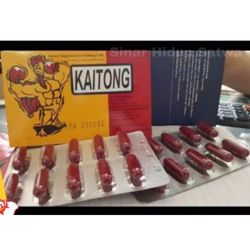 Jual KAITONG Suplemen Ayam Petarung 1 Box 24 Kapsul Memulihkan Penambah ...