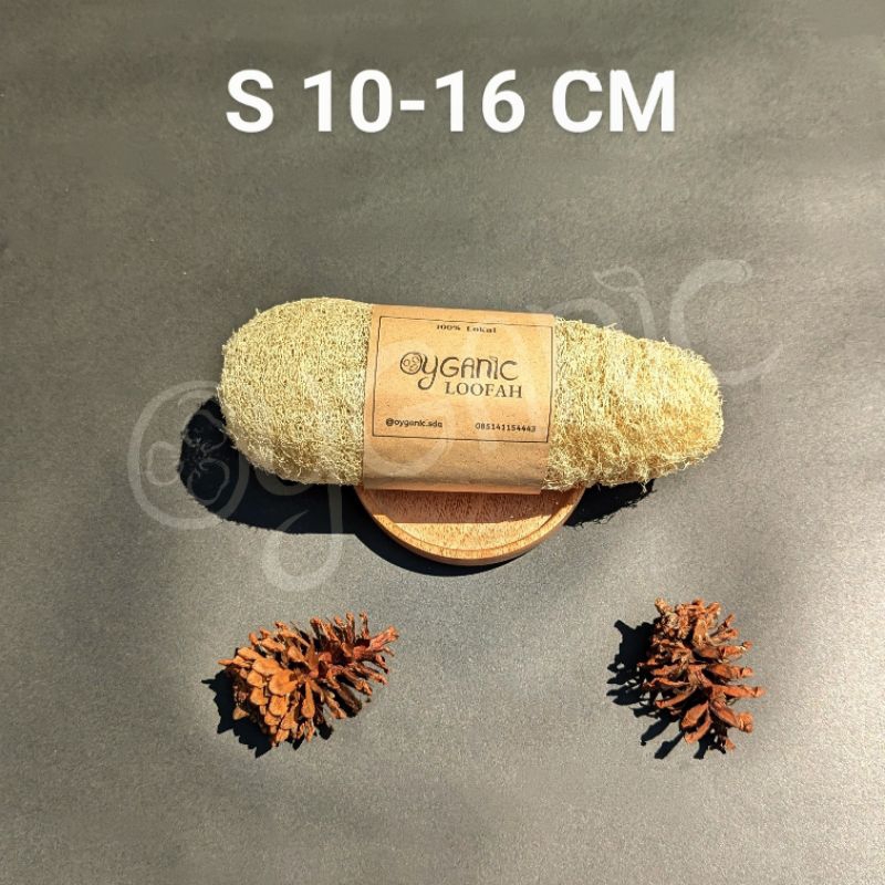 Jual Loofah sponge alami ramah lingkungan ukuran S 10-16 CM | Shopee ...