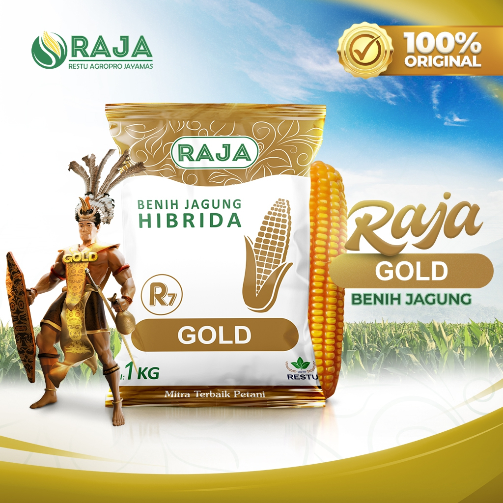 Jual Benih Jagung RAJA R7 Gold - 1kg | Shopee Indonesia